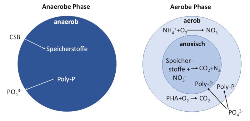 INDENSE®, NEREDA®, S::SELECT® etc. - Was ist das eigentlich? - atd GmbH